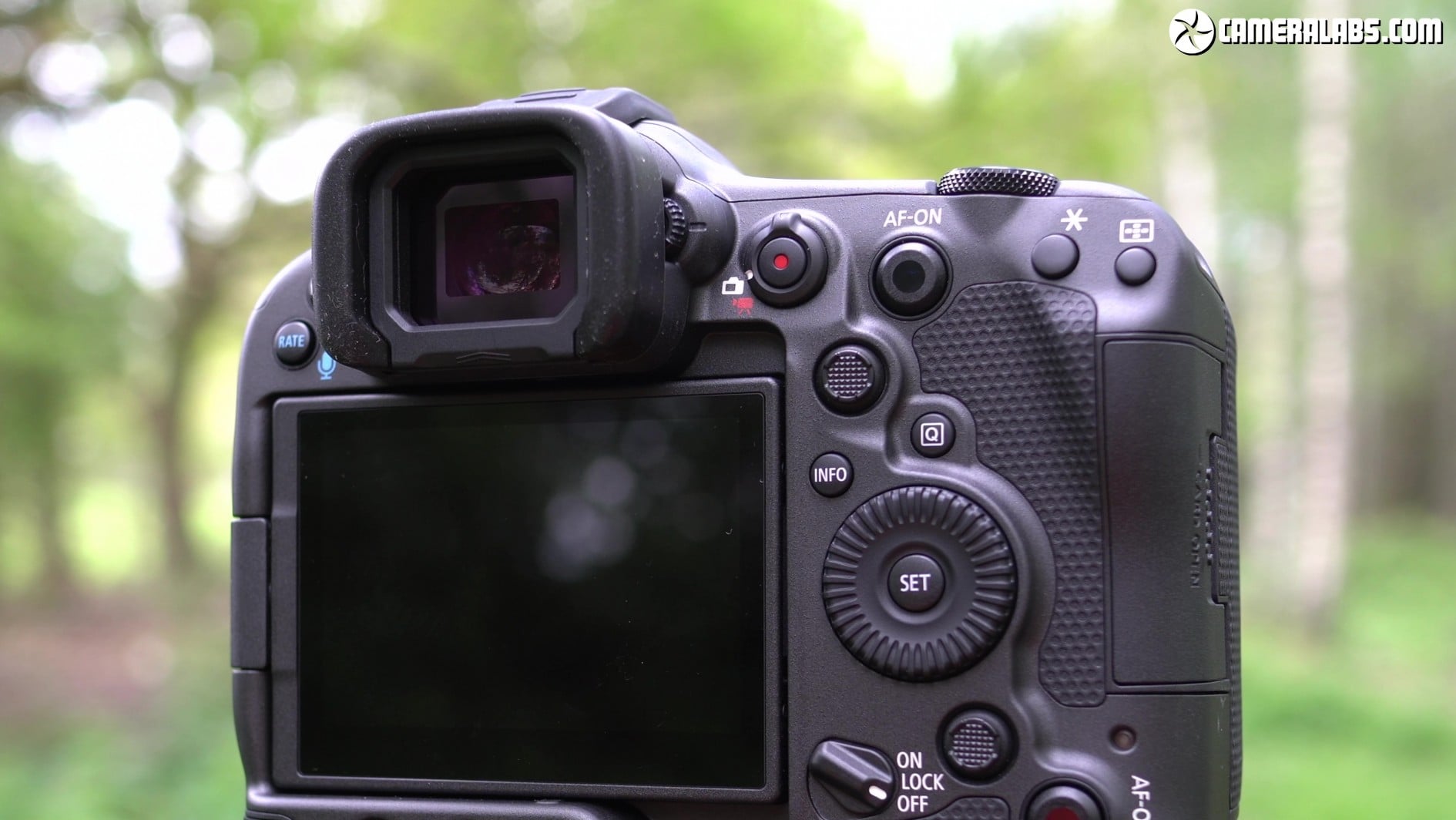 Canon EOS R3 review so far | Cameralabs