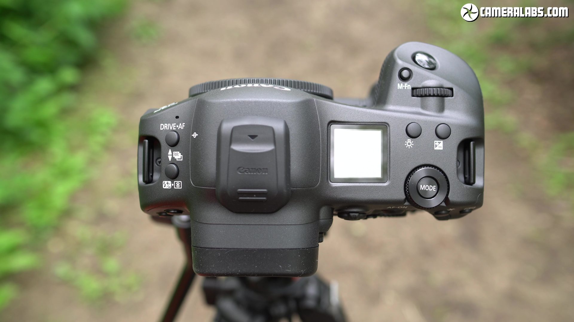 Canon EOS R3 review so far | Cameralabs