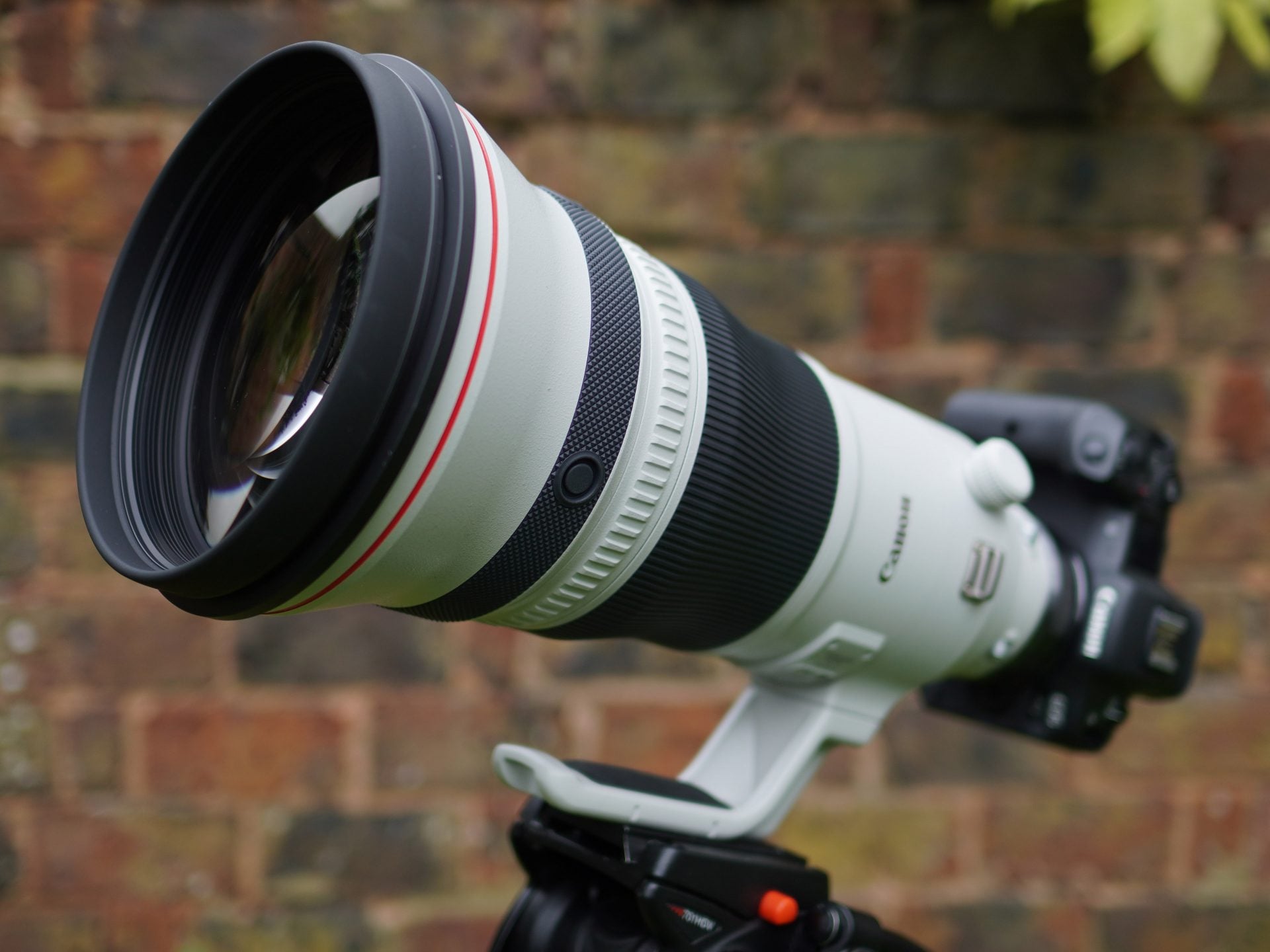 Canon RF 400mm f2.8L RF 600mm f4L review | Cameralabs