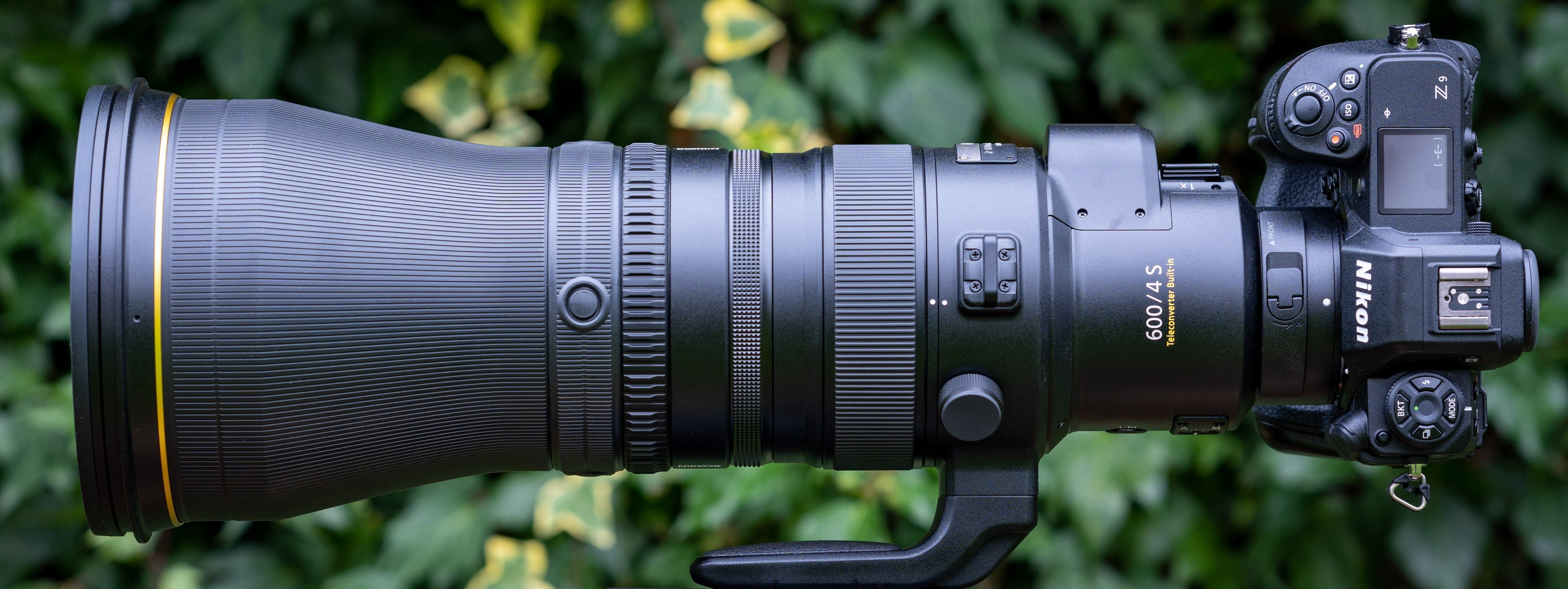 Nikon Z 600mm f4 TC VR S review | Cameralabs