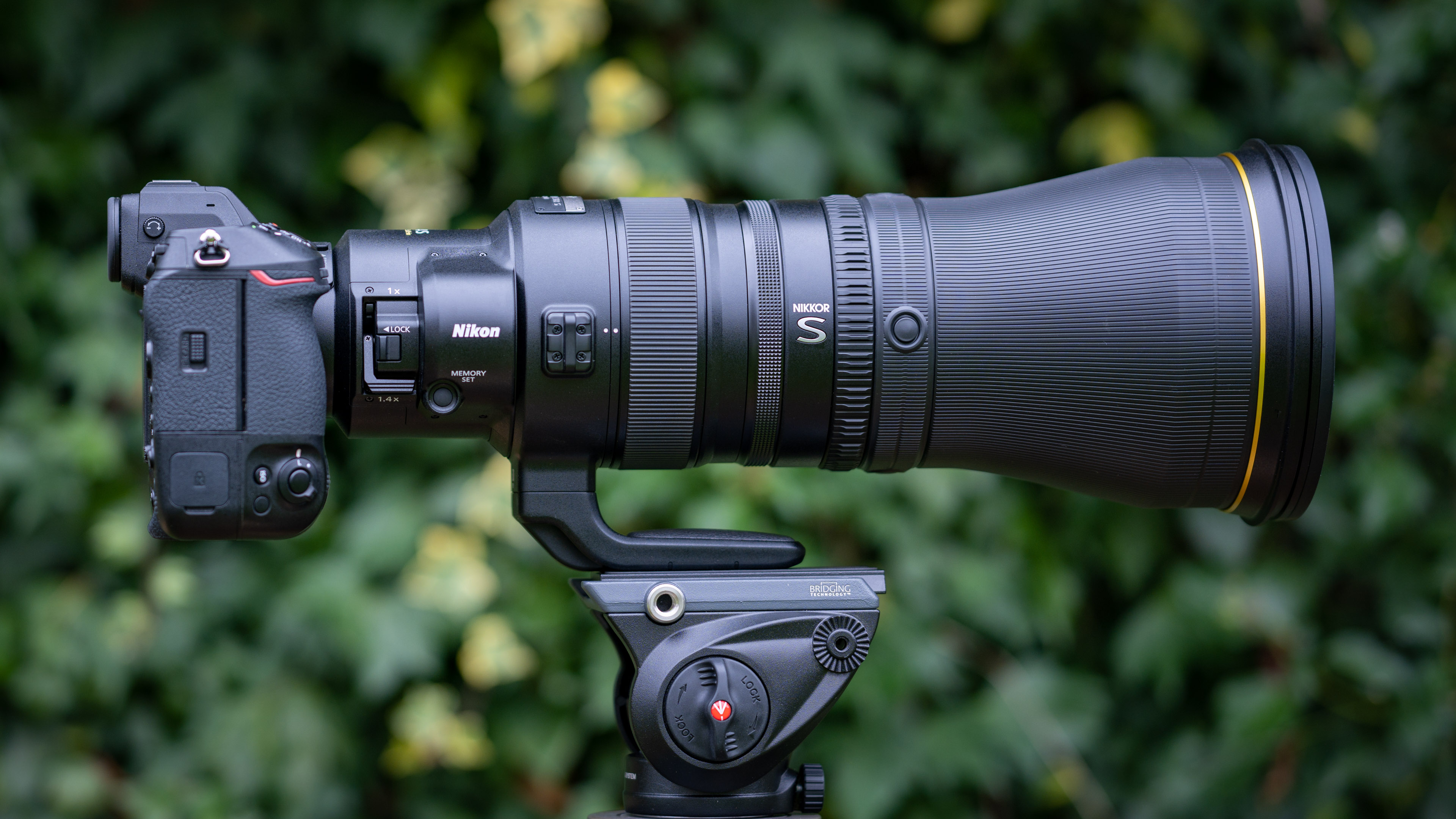Nikon Z 600mm f4 TC VR S review | Cameralabs