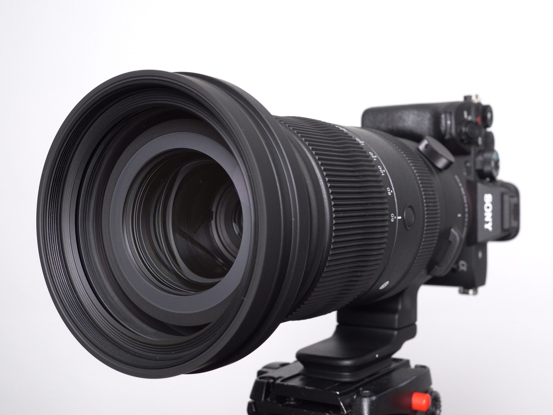 Sigma 60-600mm f4.5-6.3 DG DN review | Cameralabs