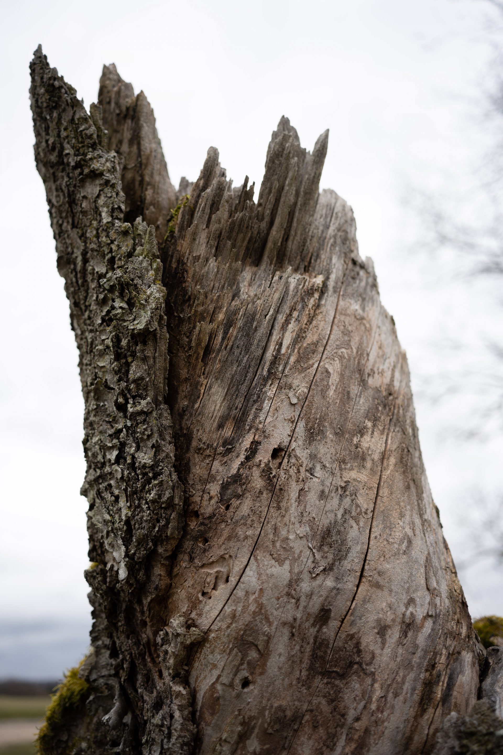 Nikon Z 26mm f2.8 review | Cameralabs