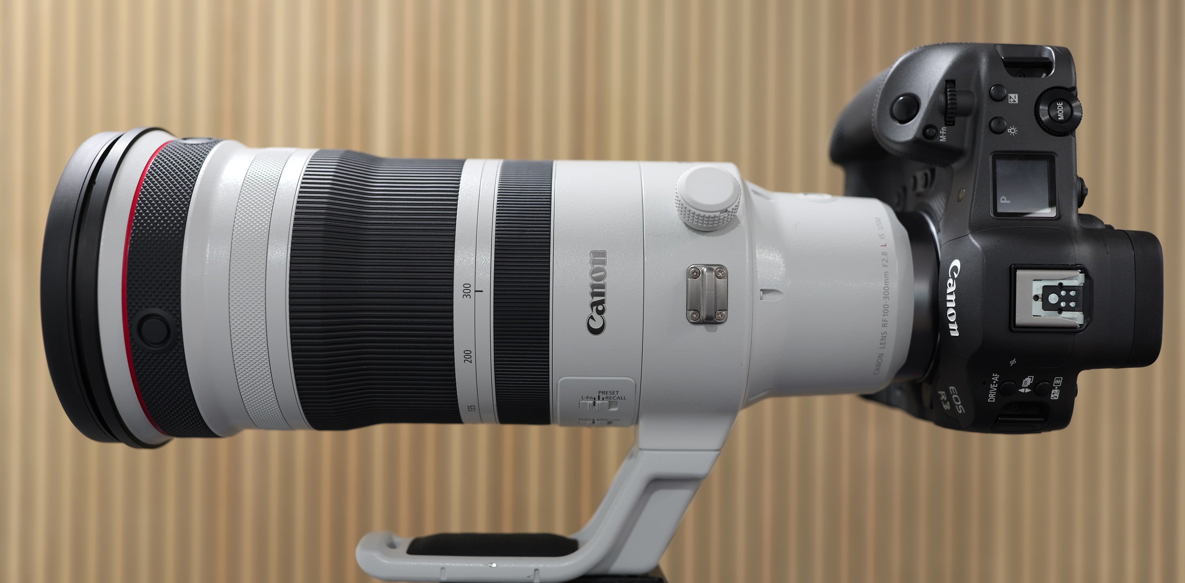 Canon RF 100-300mm f2.8L IS USM review so far | Cameralabs