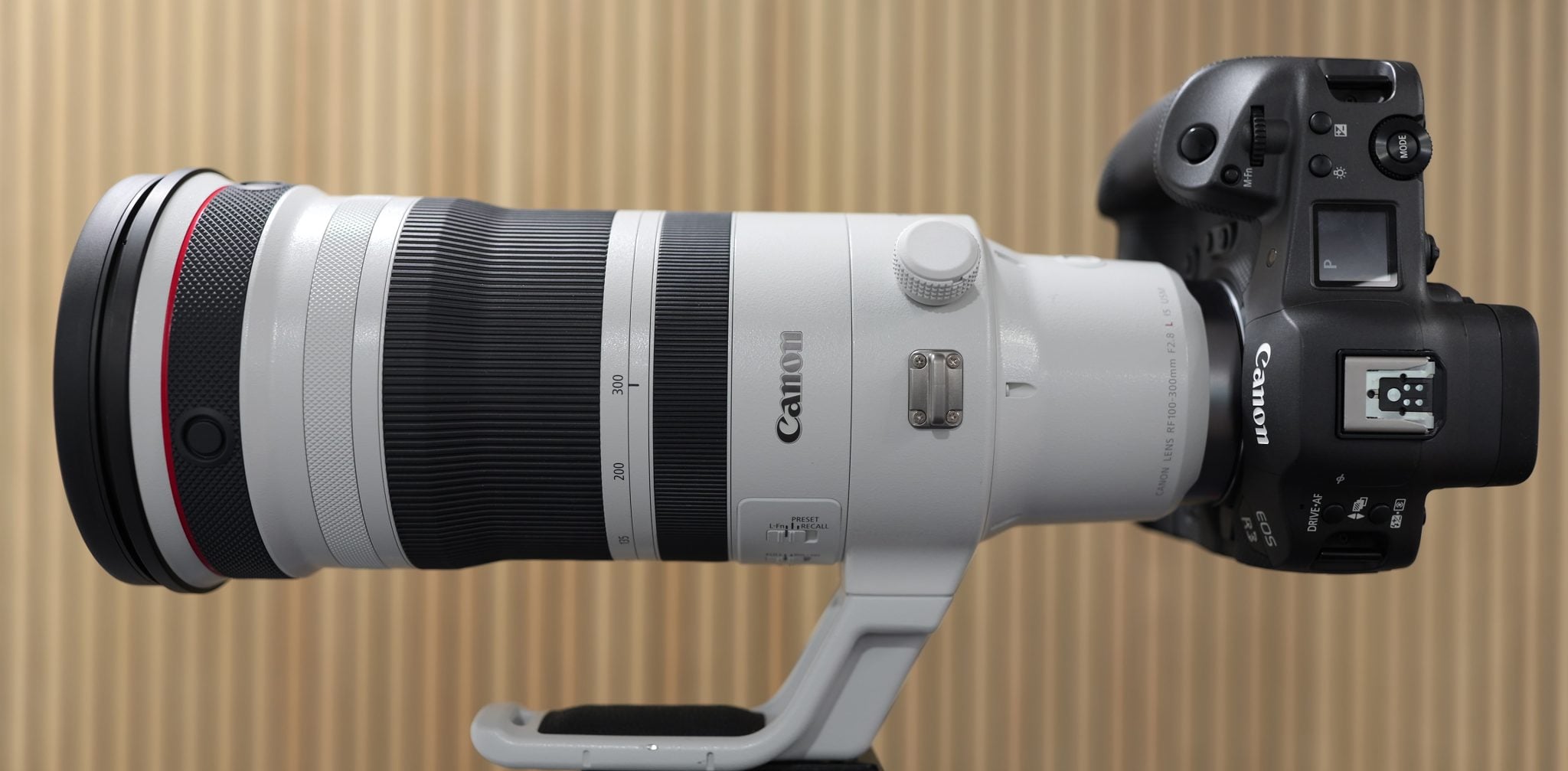Canon RF 100-300mm f2.8L IS USM review so far | Cameralabs