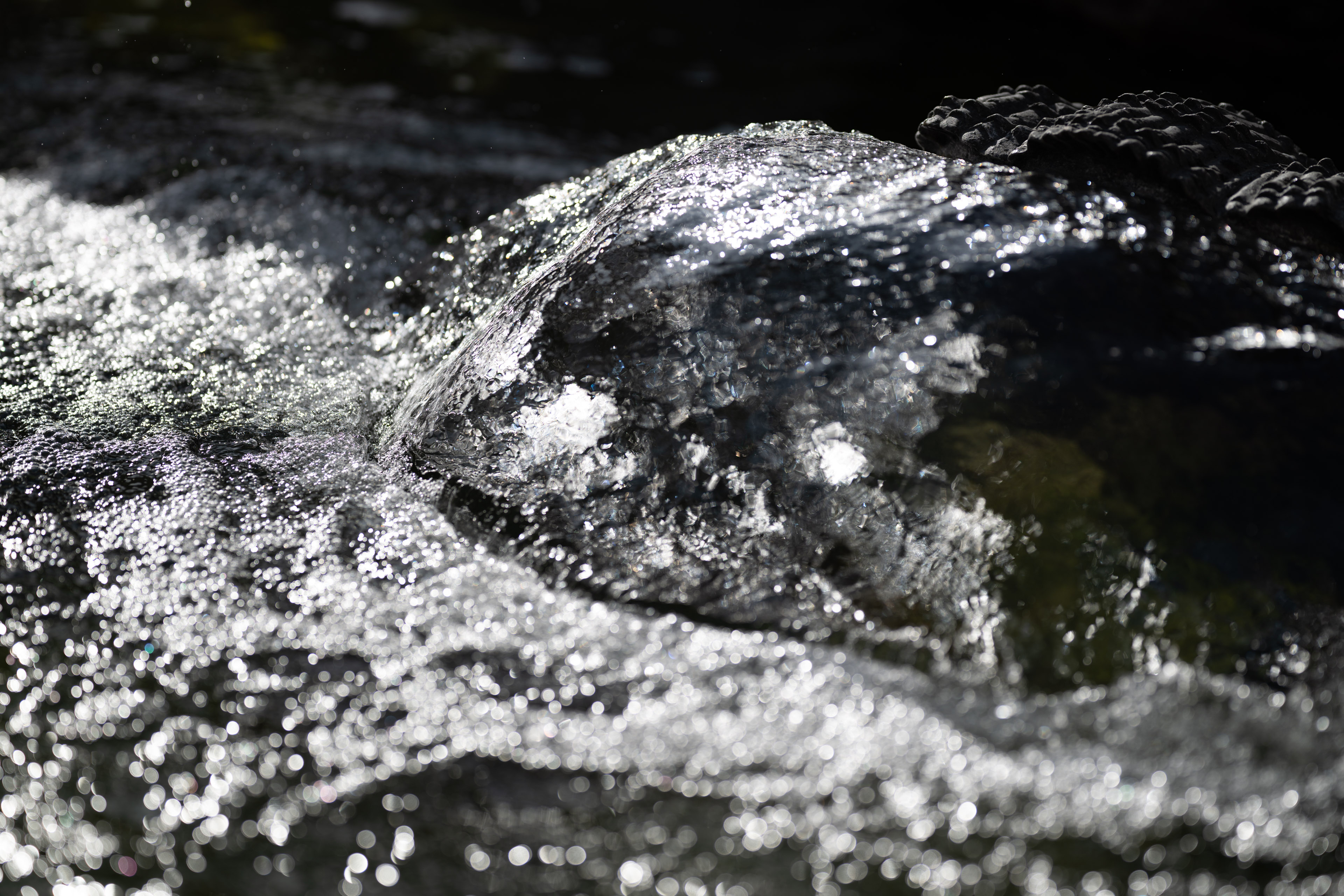 Nikon Z 135mm f1.8 S Plena review | Cameralabs
