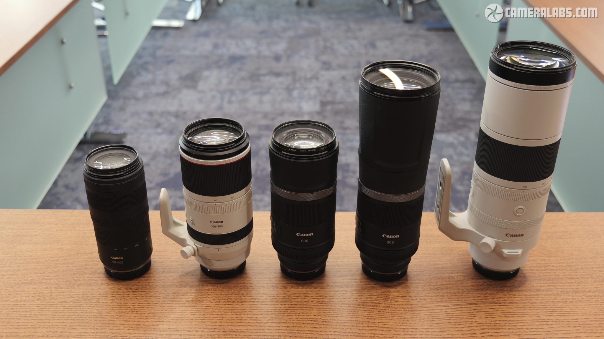 Canon RF 200-800mm f6.3-9 review so far | Cameralabs