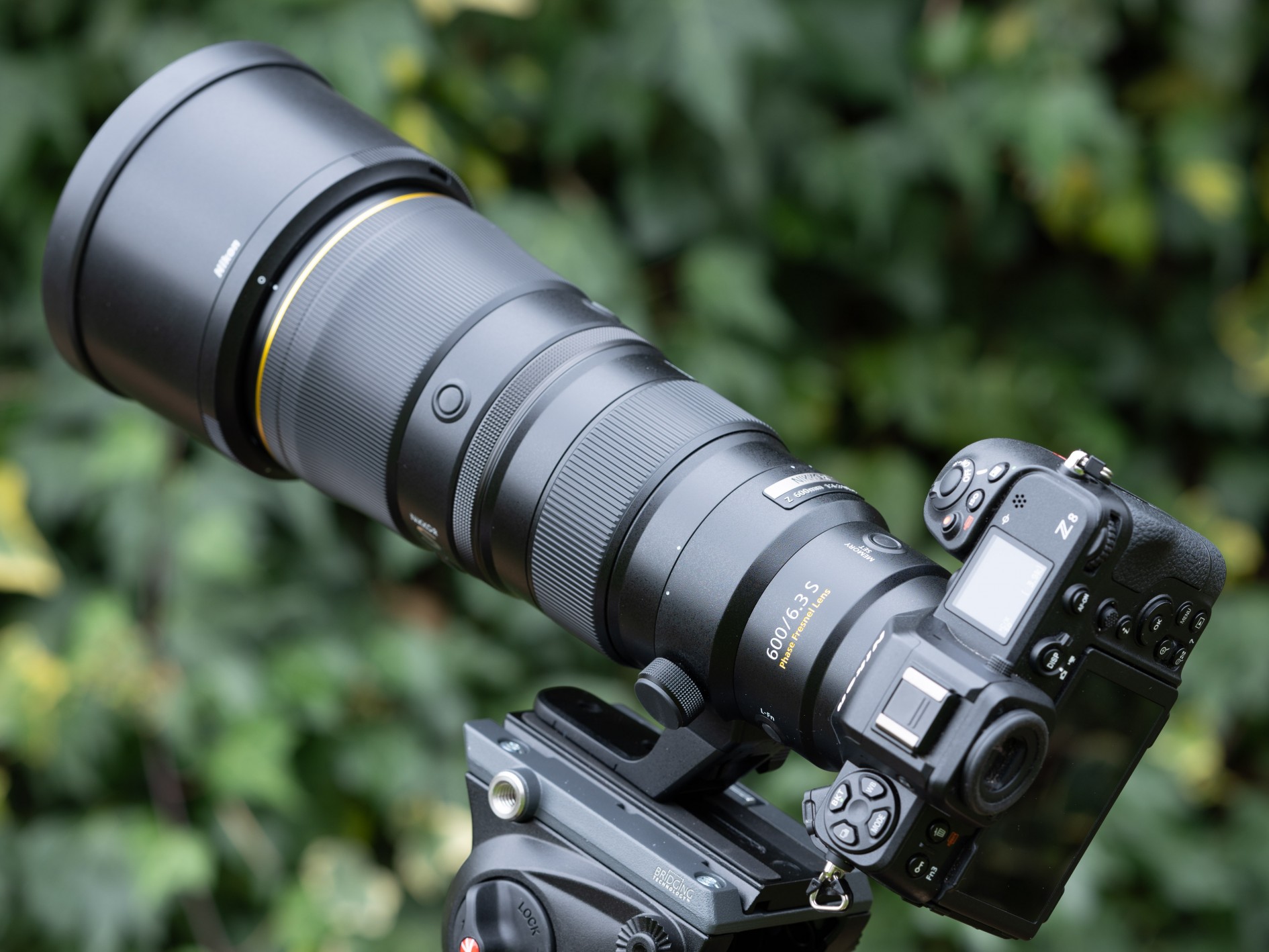 Nikon Z 600mm f6.3 VR S review | Cameralabs