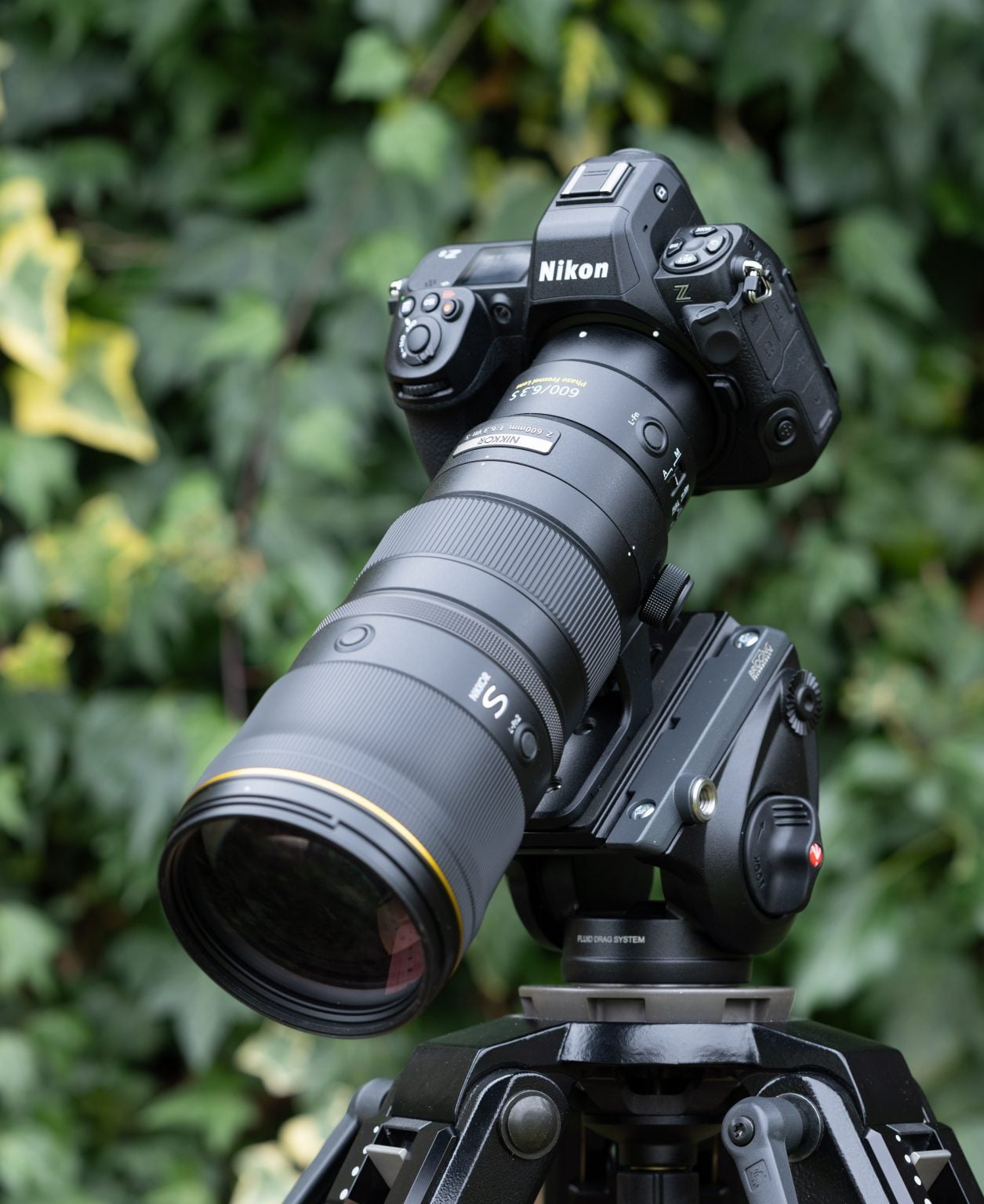 Nikon Z 600mm f6.3 VR S review | Cameralabs