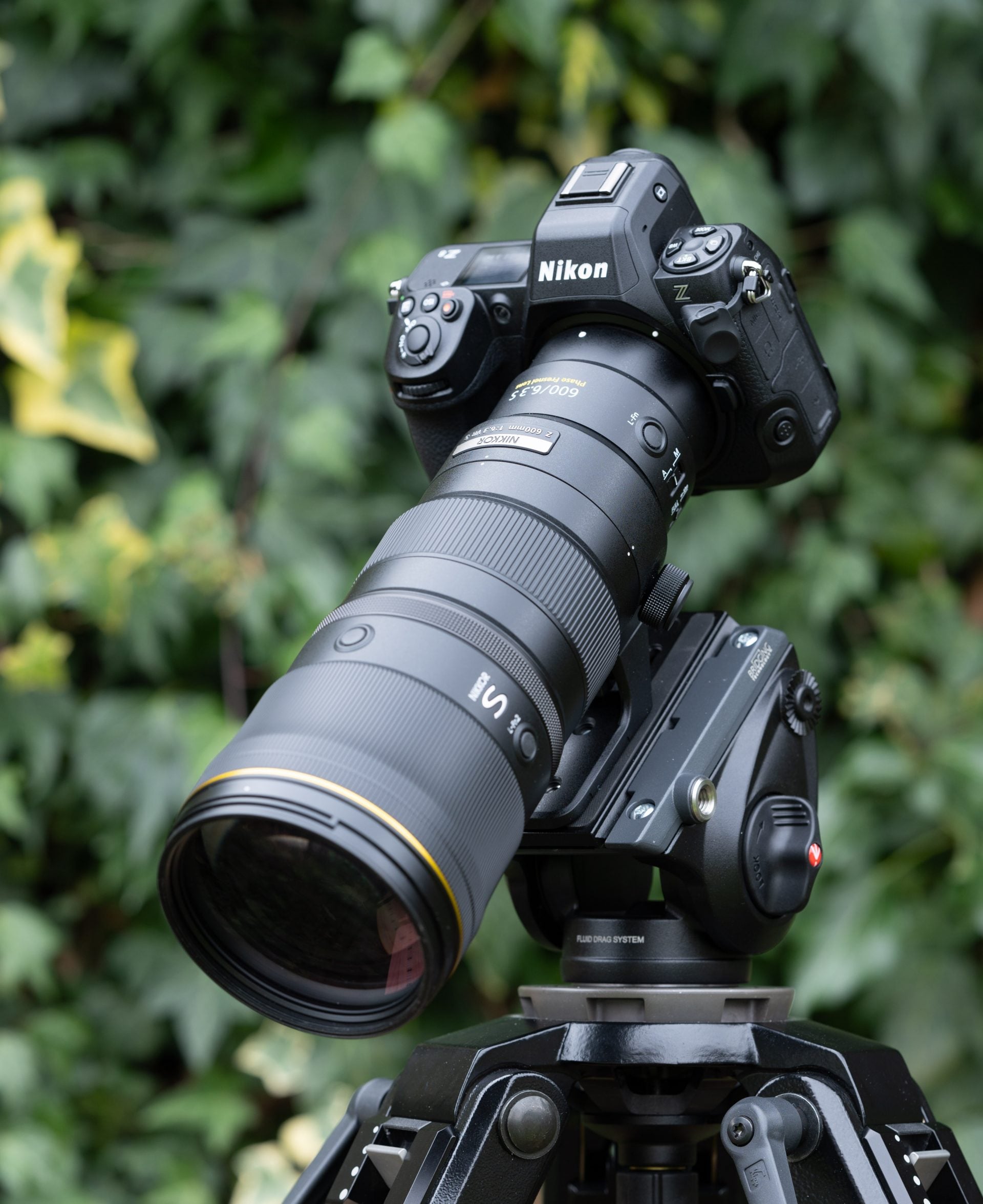 Nikon Z 600mm f6.3 VR S review | Cameralabs
