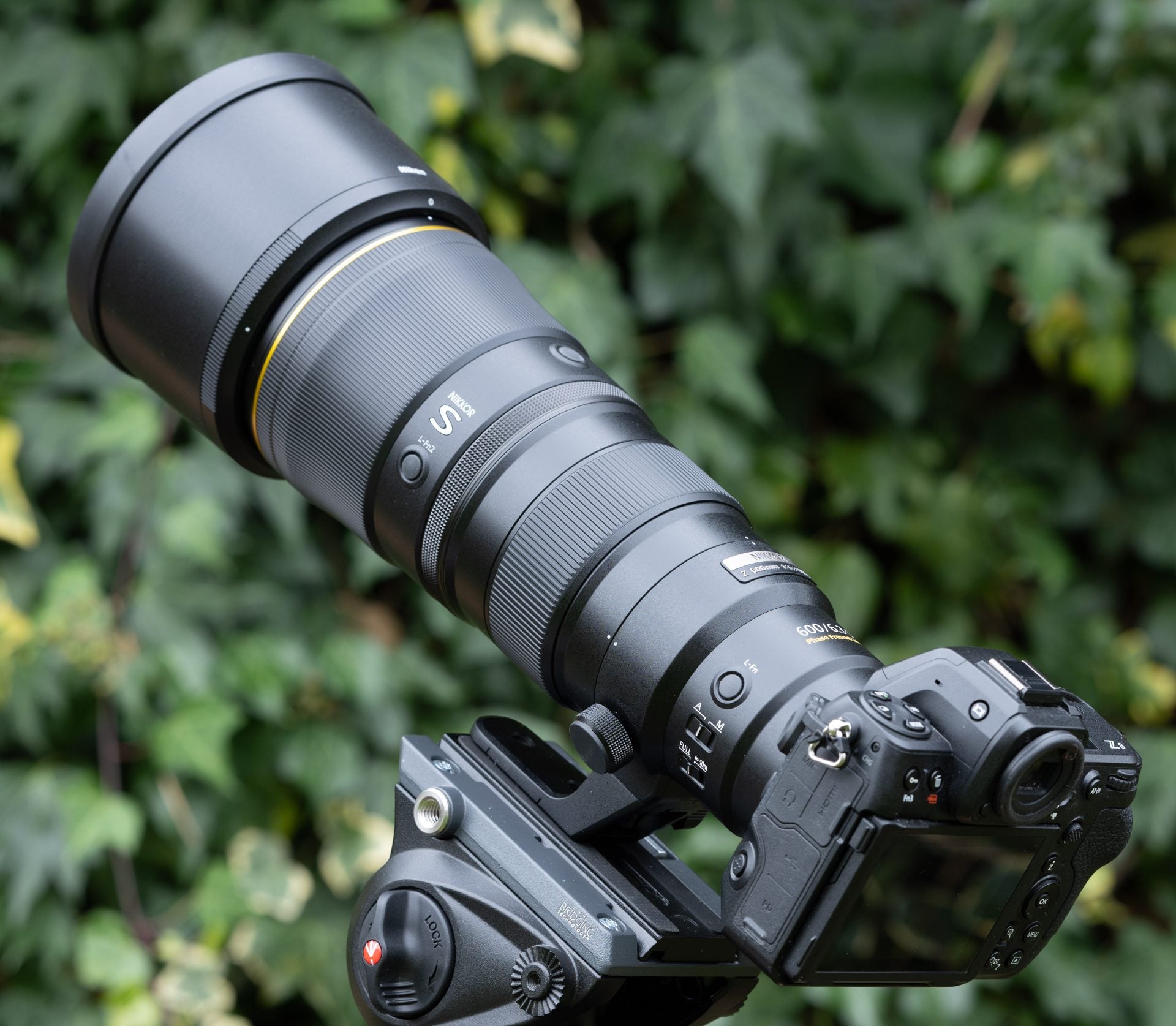Nikon Z 600mm f6.3 VR S review | Cameralabs