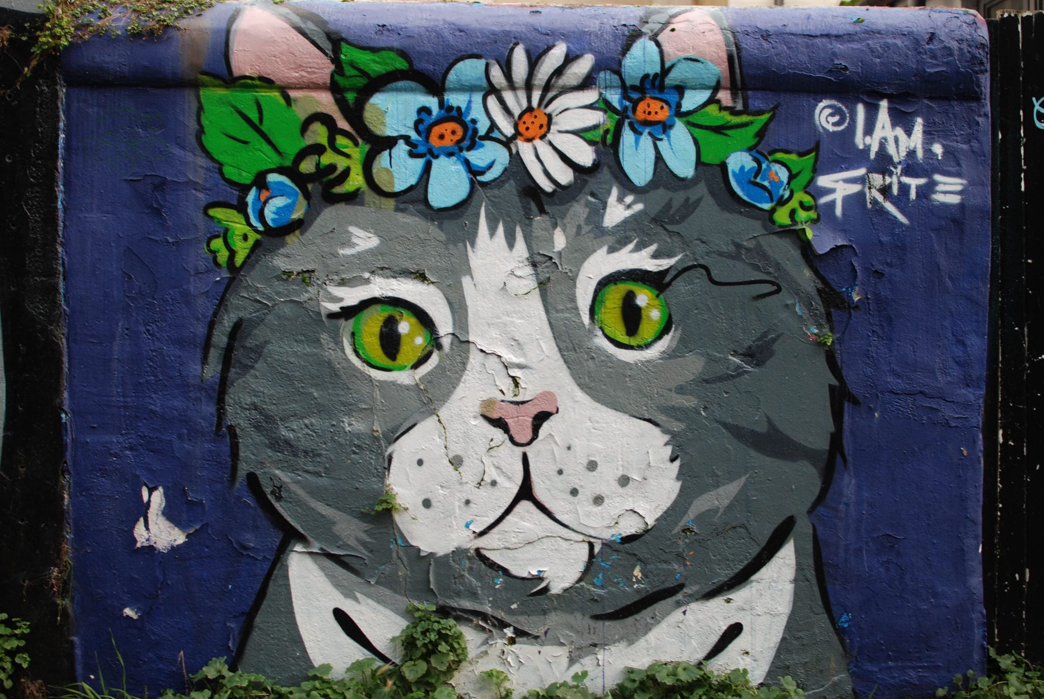 Nikon D80 RETRO review | Cameralabs