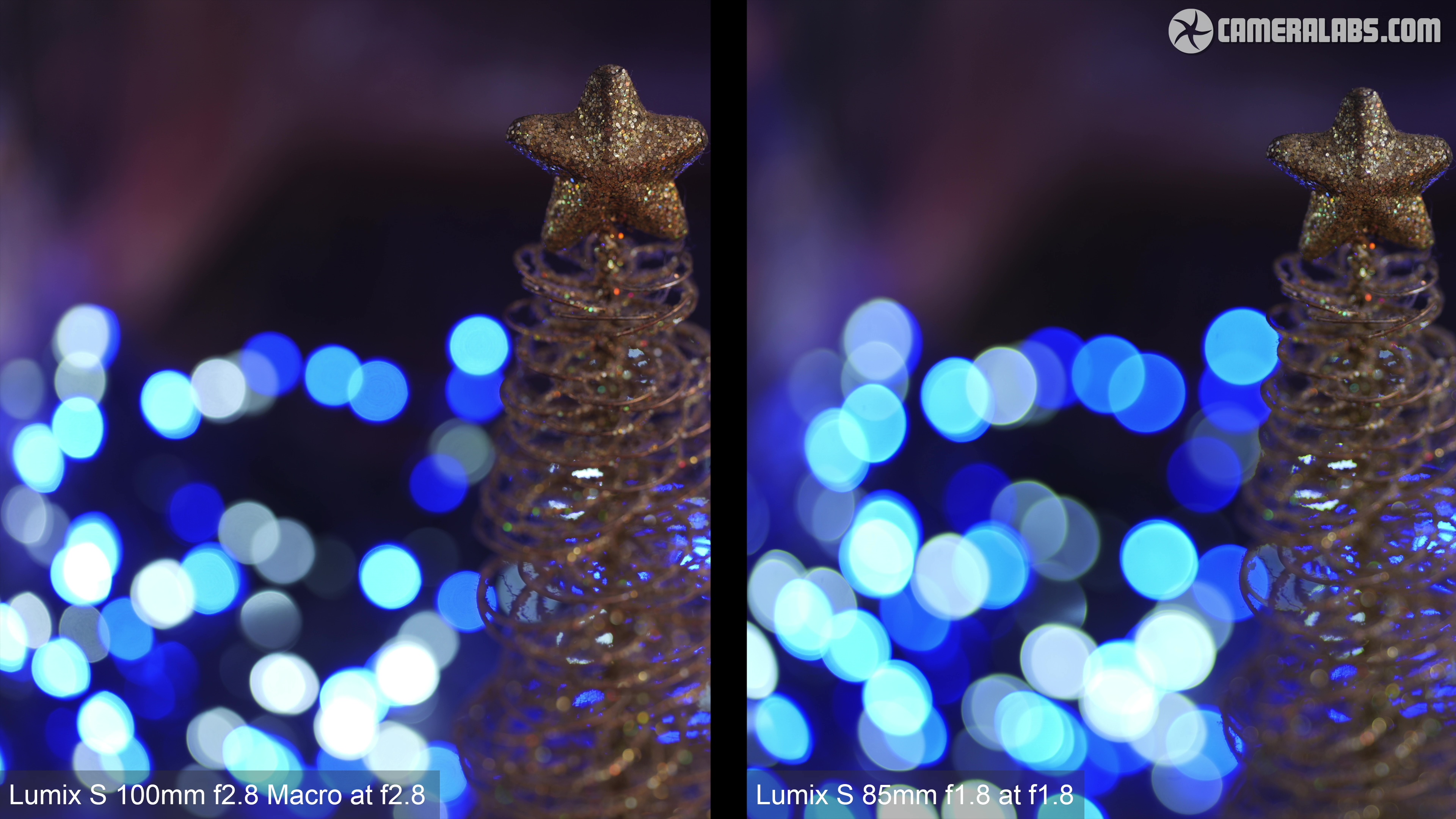 Panasonic Lumix S 100mm f2.8 Macro review | Cameralabs