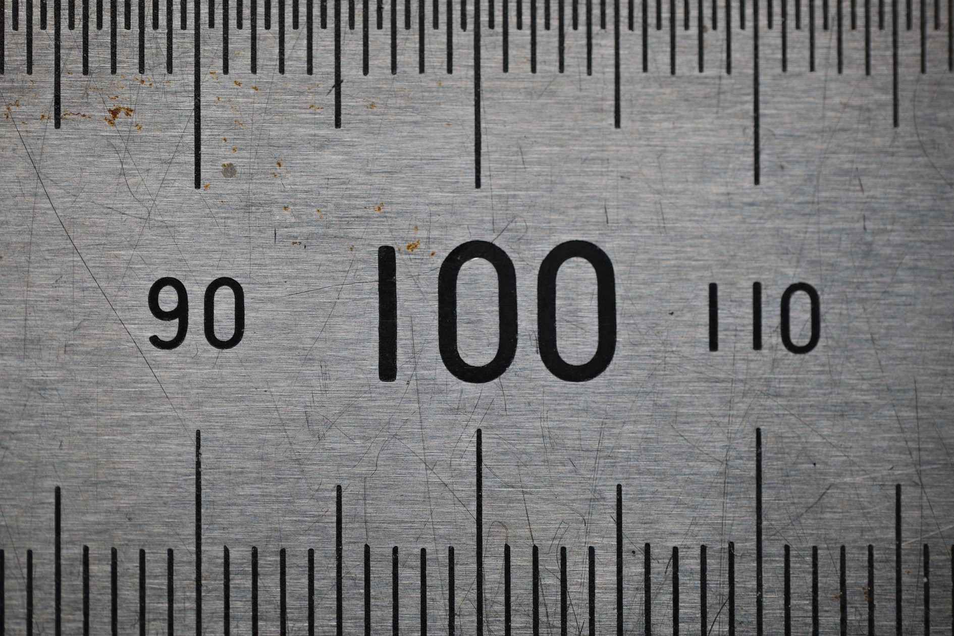 Panasonic Lumix S 100mm f2.8 Macro review | Cameralabs