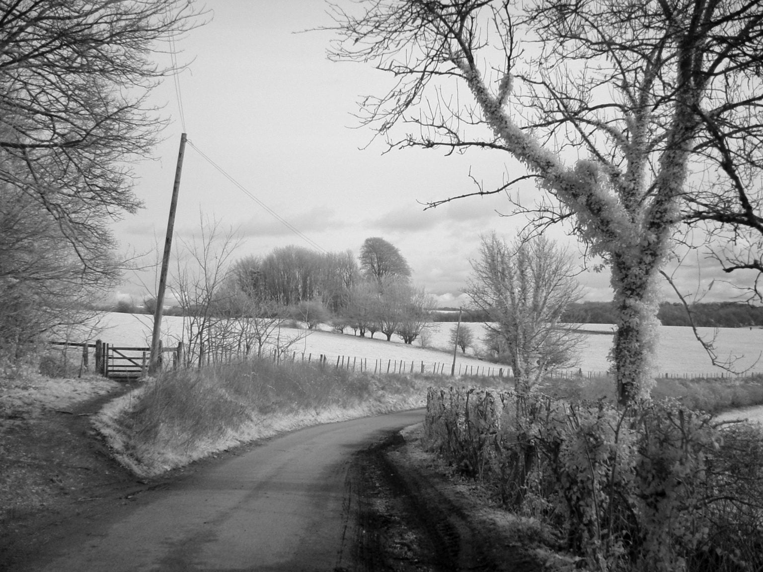 Sony Cyber-shot F717 retro review | Cameralabs