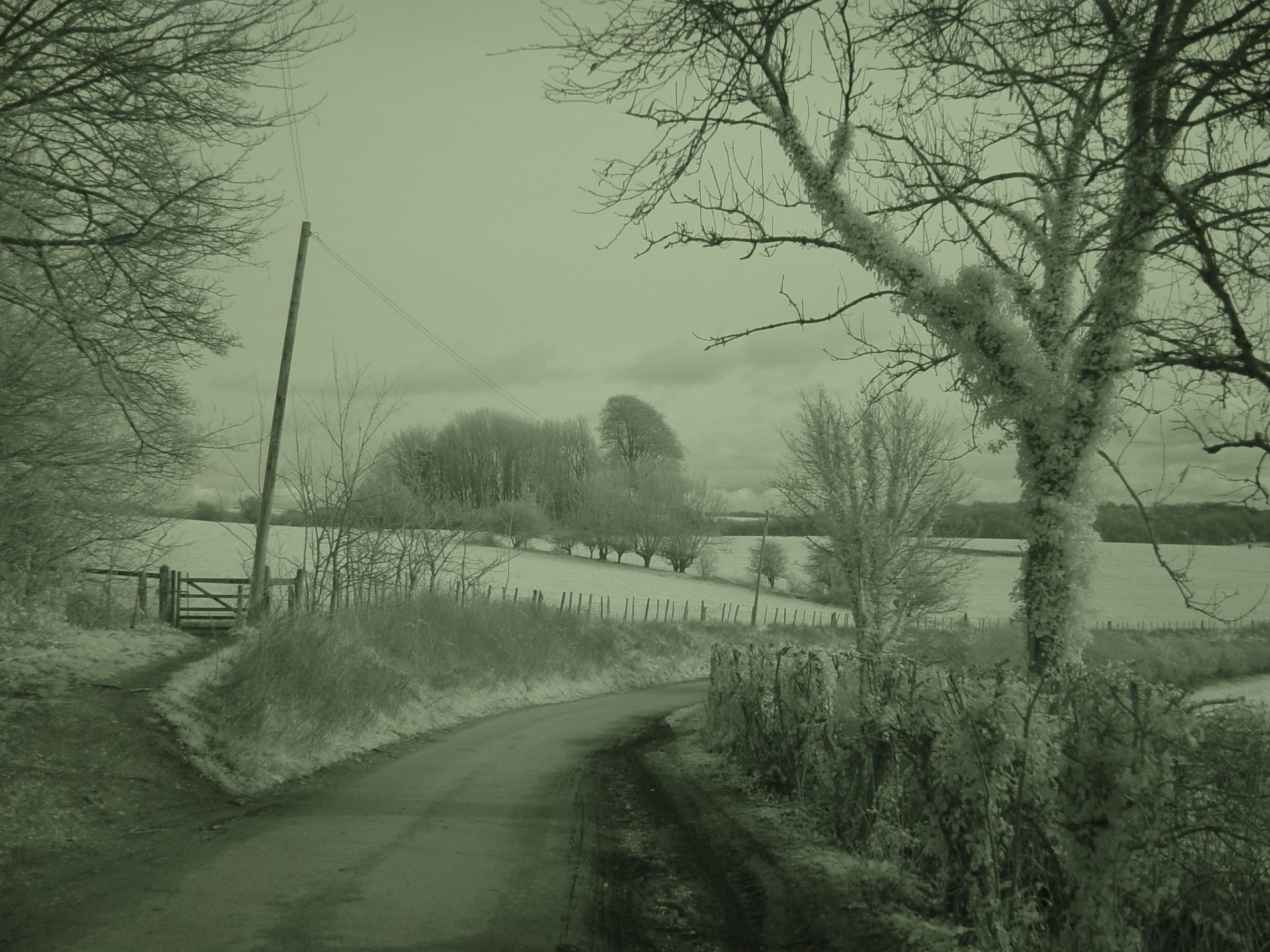 Sony Cyber-shot F717 retro review | Cameralabs