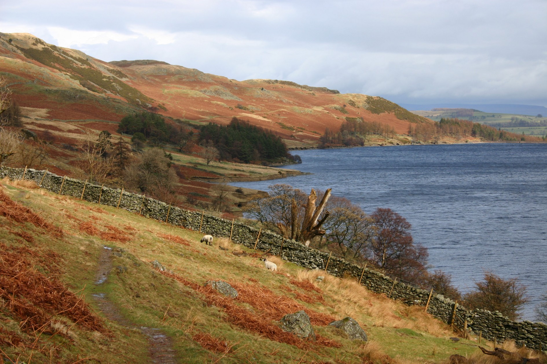 Canon EOS 300D Rebel retro review | Cameralabs