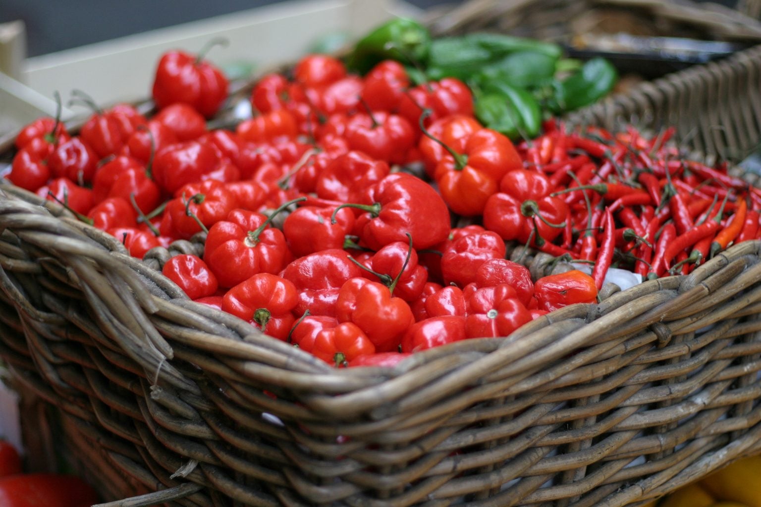 Canon EOS 10D retro review | Cameralabs