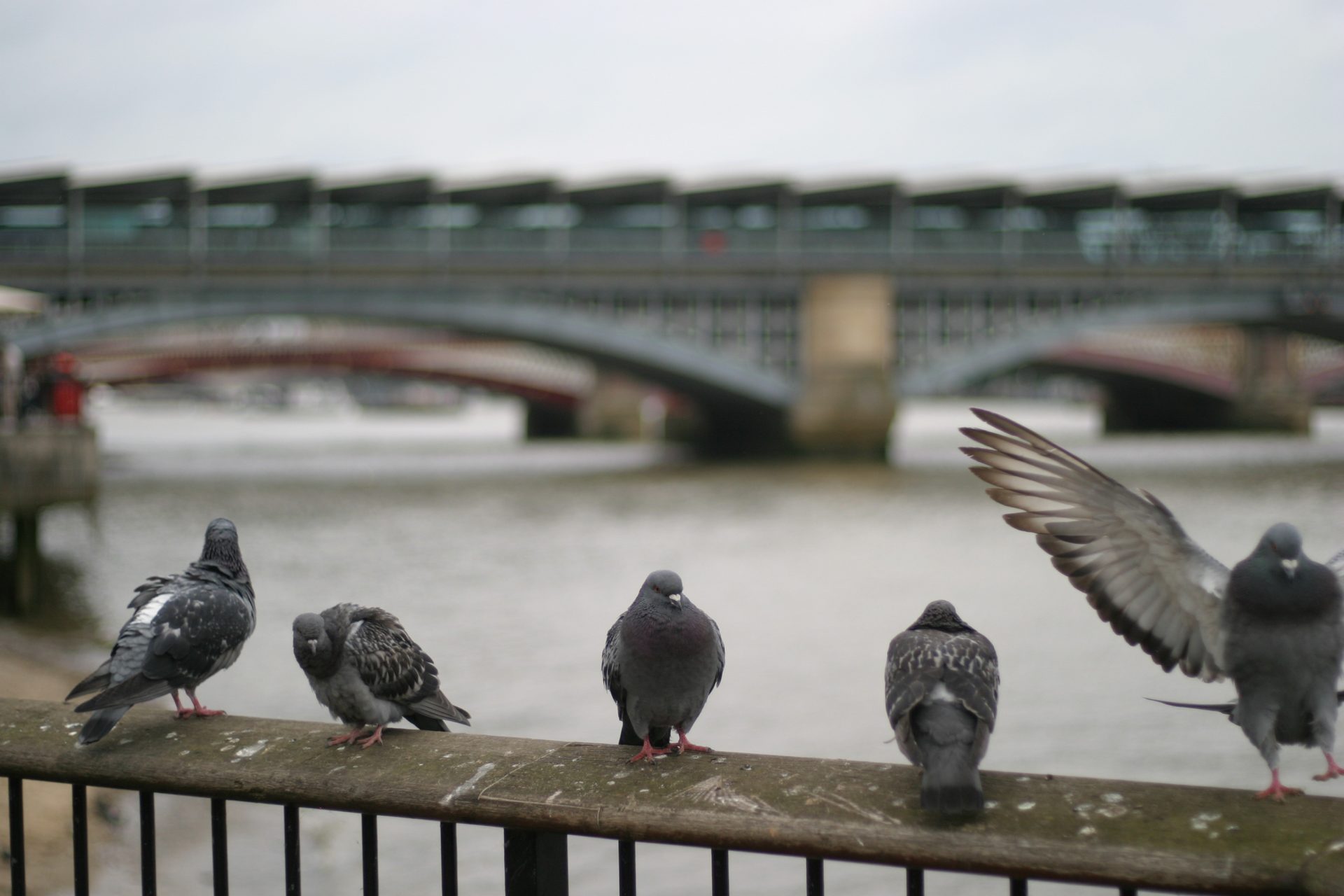 Canon EOS 10D retro review | Cameralabs