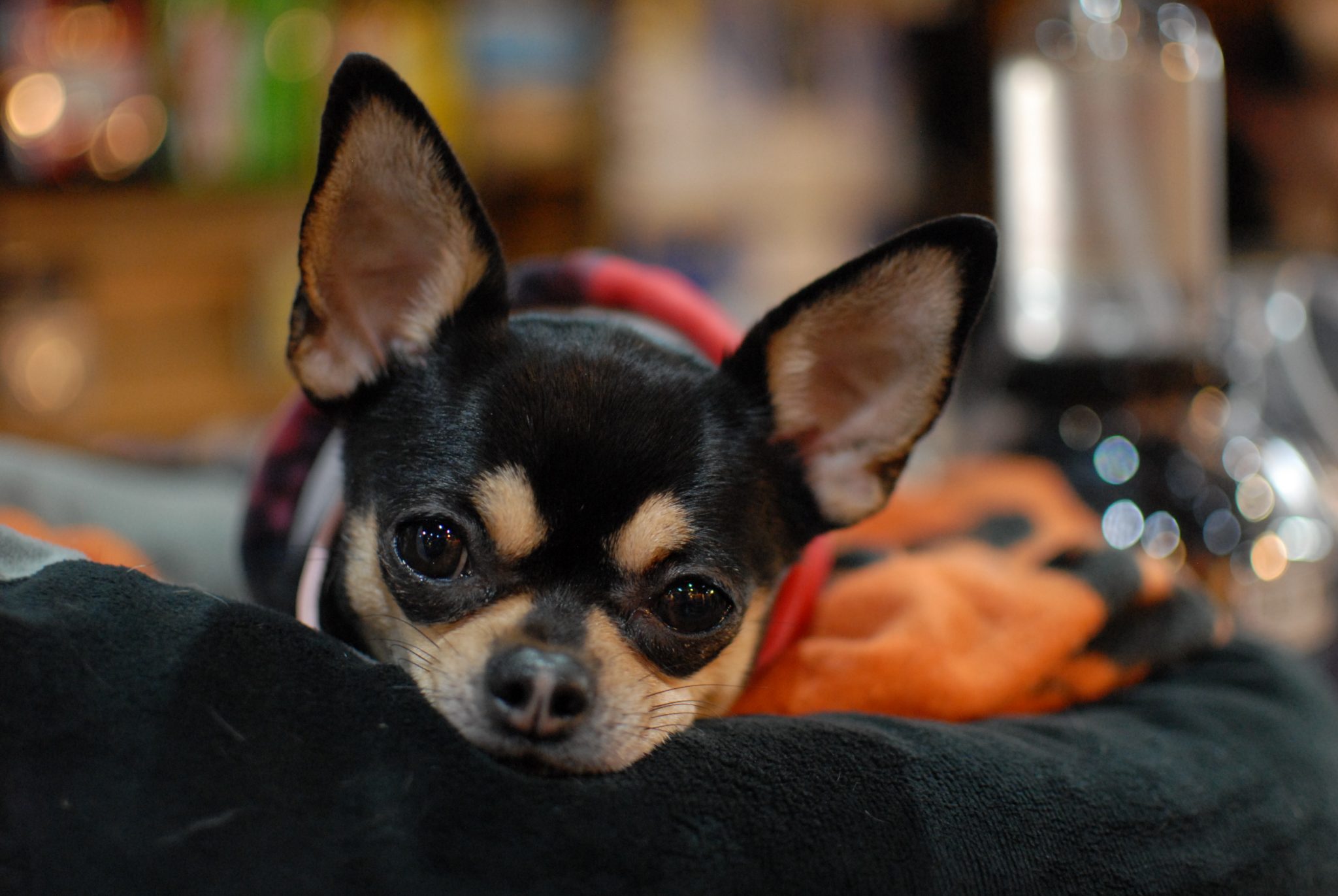 Nikon D200 retro review | Cameralabs