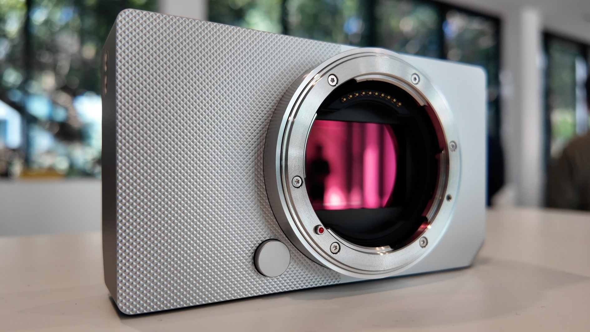 Sigma BF review so far | Cameralabs