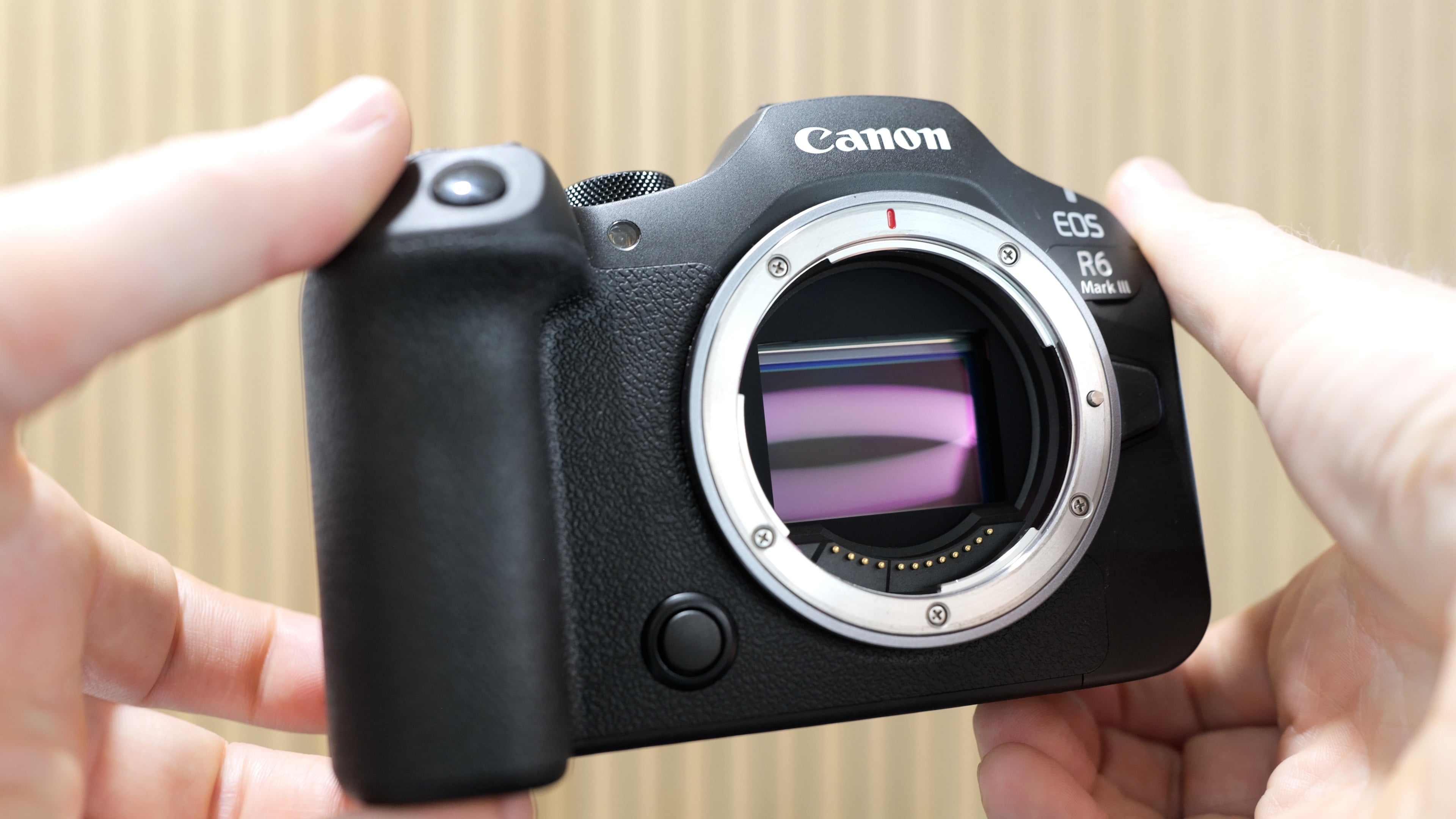 Canon EOS R6 Mark III review | Cameralabs